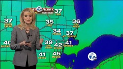 Hally Vogel - WXYZ 7 Detroit - TvNewsCaps